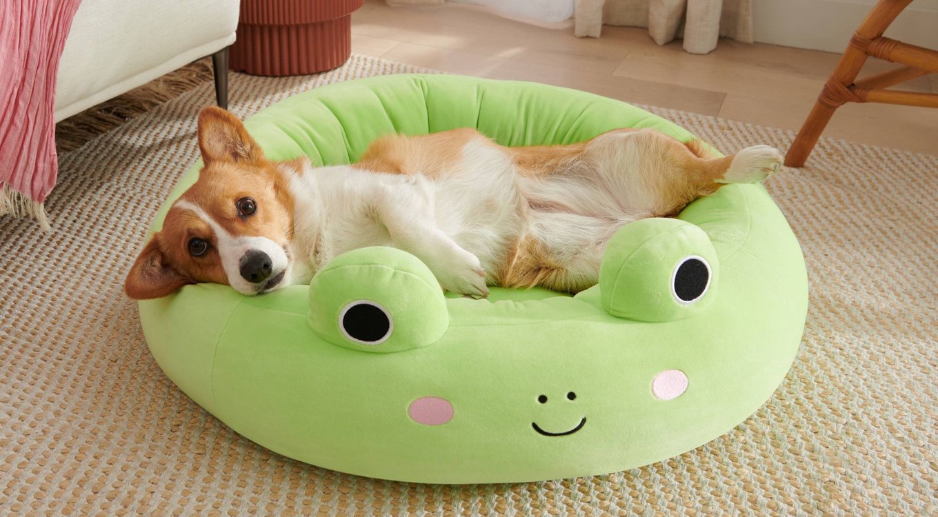 Out of Stock - SQUISHMALLOWS Wendy Frog Cat & Dog Bed, Green, Large ...