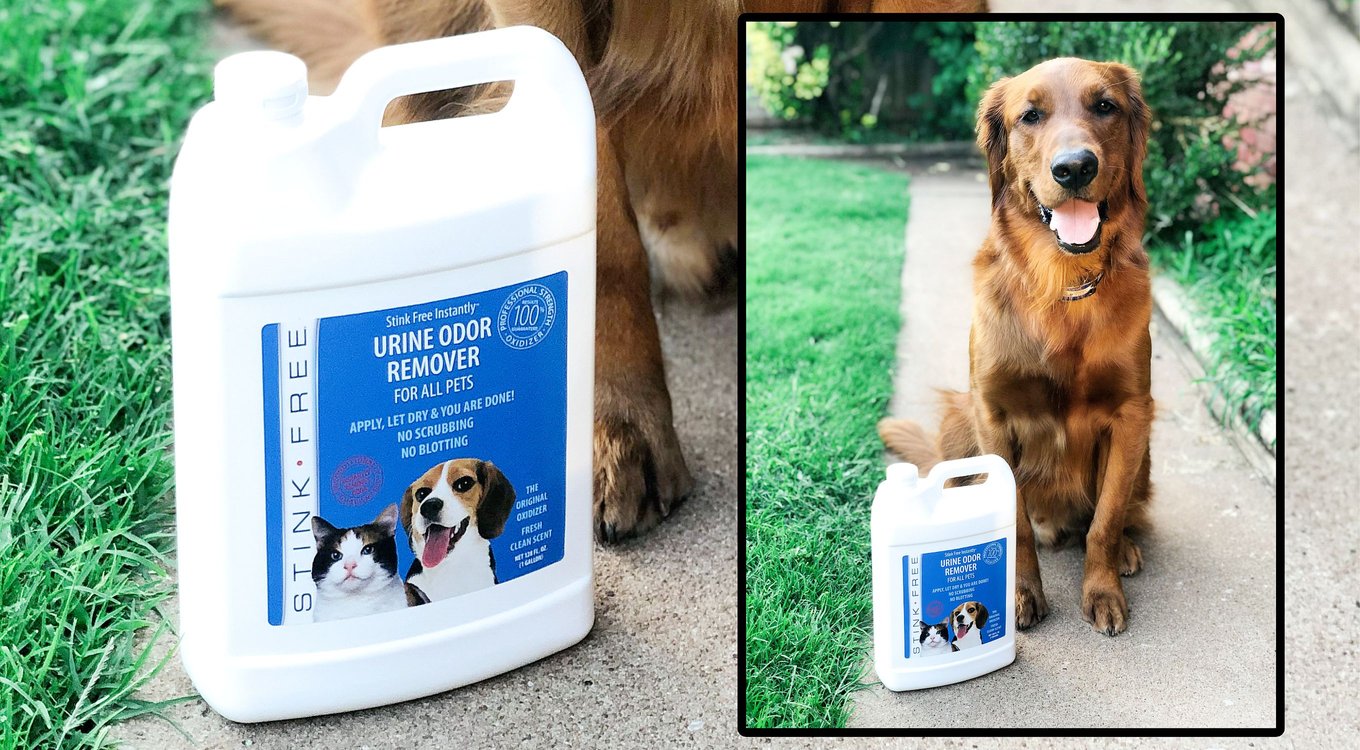 STINK FREE Solid Absorber Cat Deodorizer, 15-fl oz jar - Chewy.com