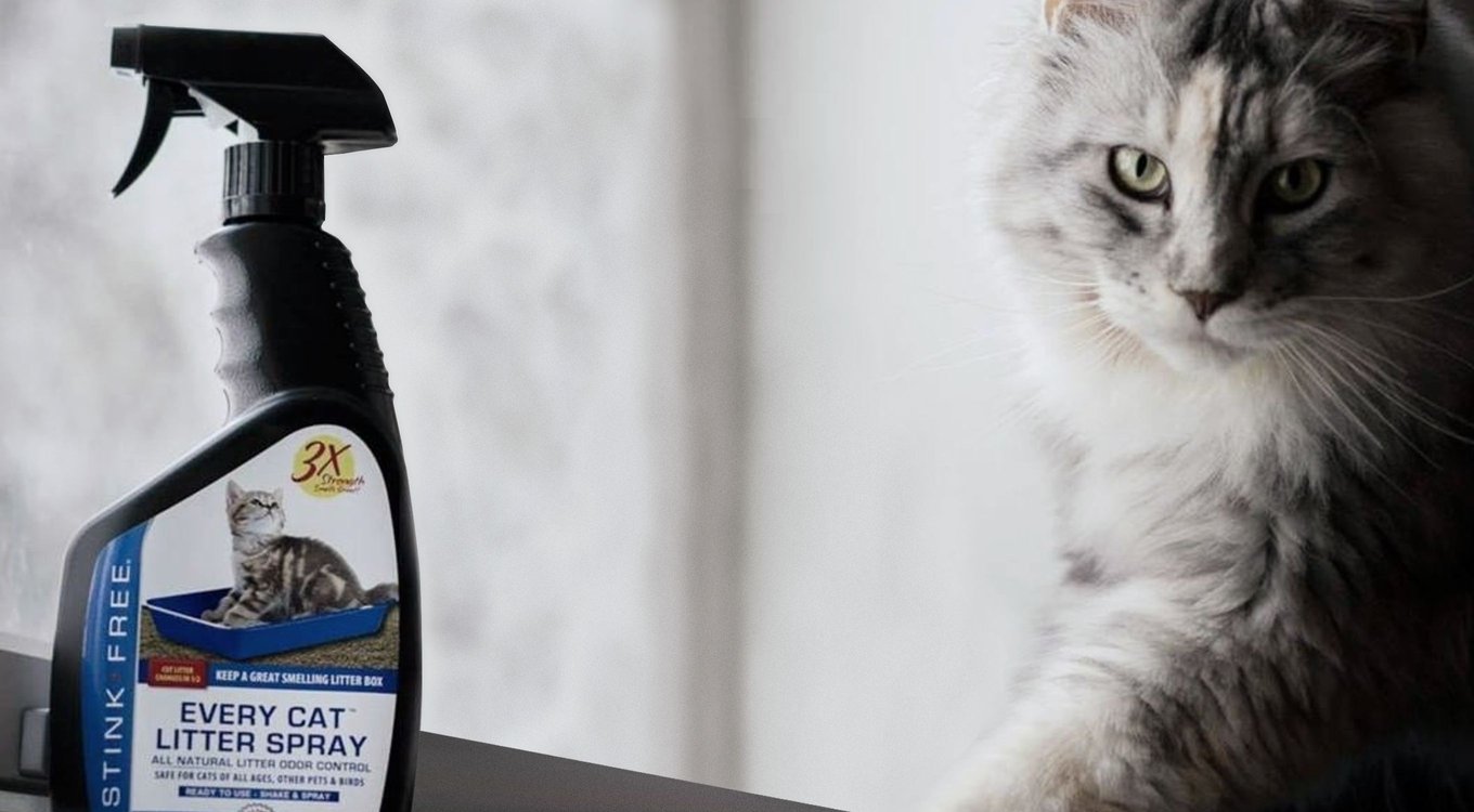 STINK FREE Solid Absorber Cat Deodorizer, 15-fl oz jar - Chewy.com