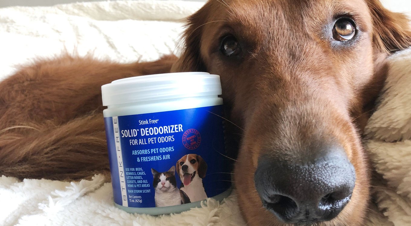 STINK FREE Solid Absorber Cat Deodorizer, 15-fl oz jar - Chewy.com