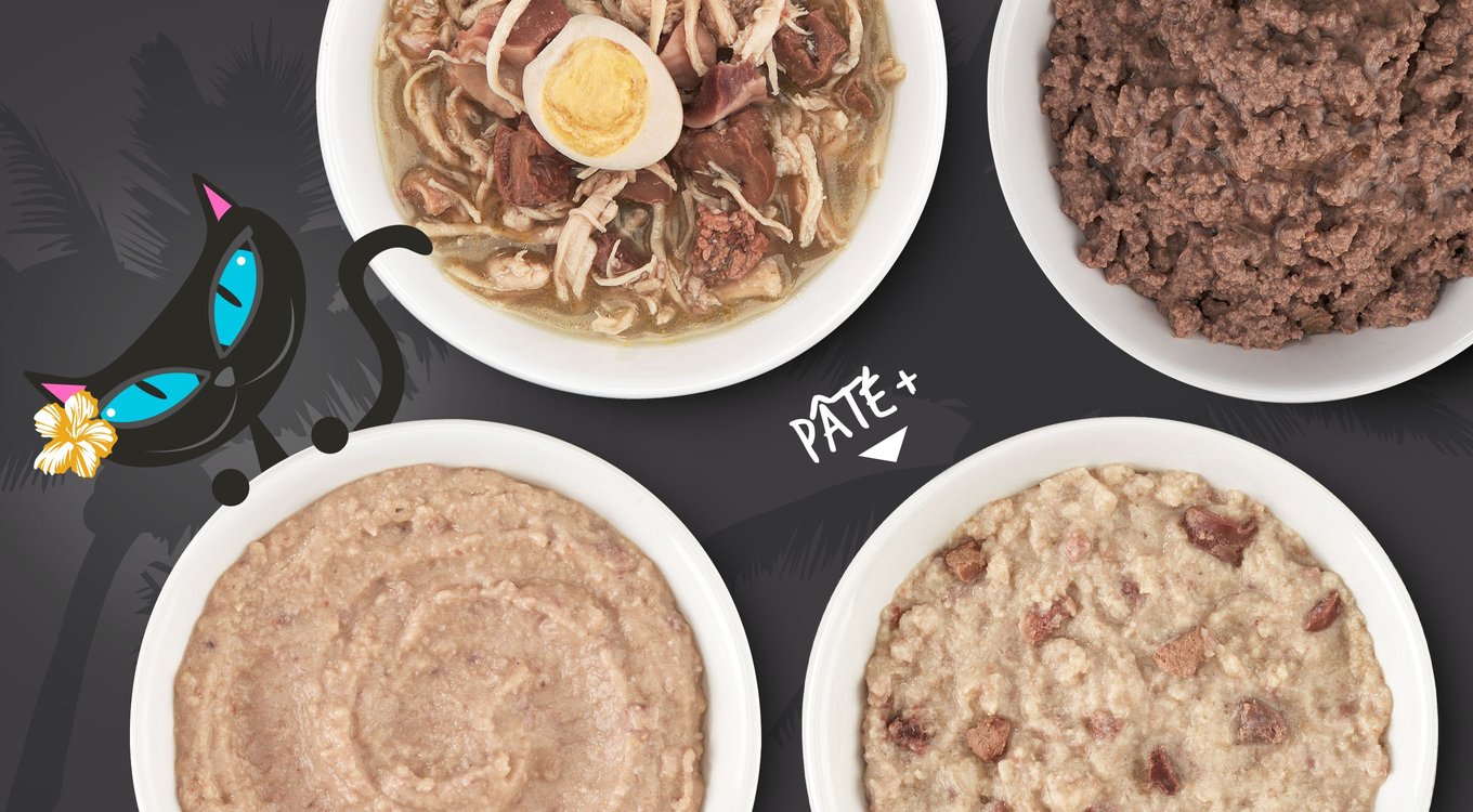 TIKI CAT After Dark Pate+ Chicken & Duck Grain-Free Wet Cat Food, 5.5 ...