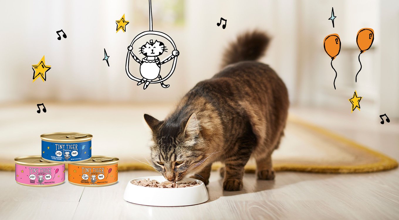 Out of Stock - TINY TIGER Chicken Chompers Flavor Filled Crunchy Cat ...