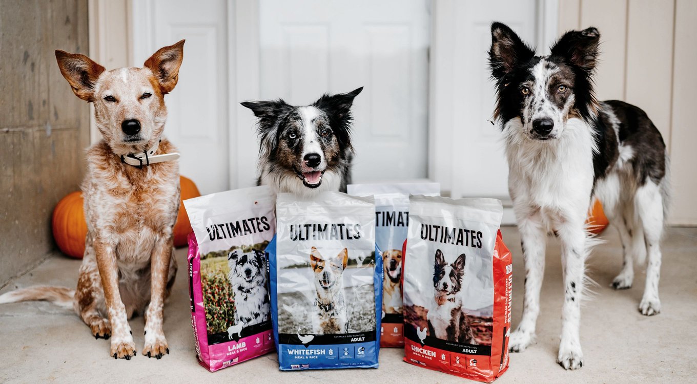ULTIMATES Adult Large Breed Chicken Meal & Rice Flavored Dry Dog Food ...