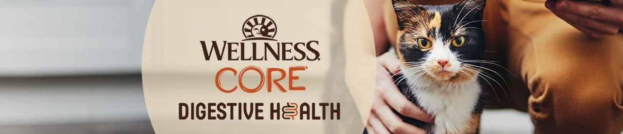 WELLNESS CORE Digestive Health Wholesome Grains Chicken & Rice Recipe ...