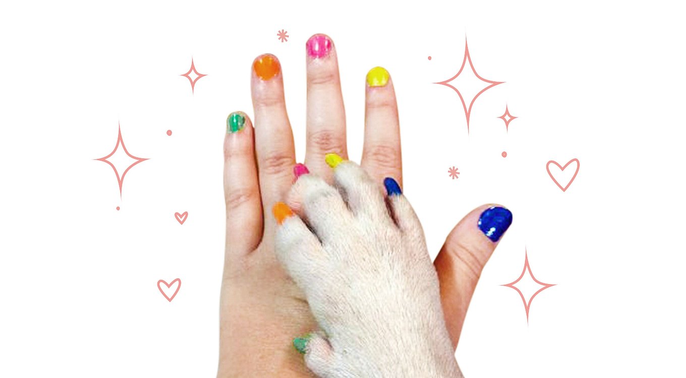 WARREN LONDON Soothing & Itch Relieving Oatmeal Dog Shampoo, 1-gal ...