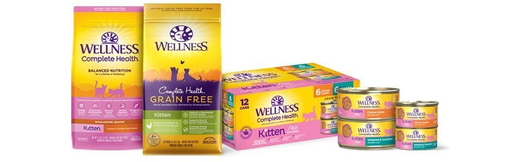 WELLNESS Complete Health Kitten Chicken Entree Recipe Natural Canned ...