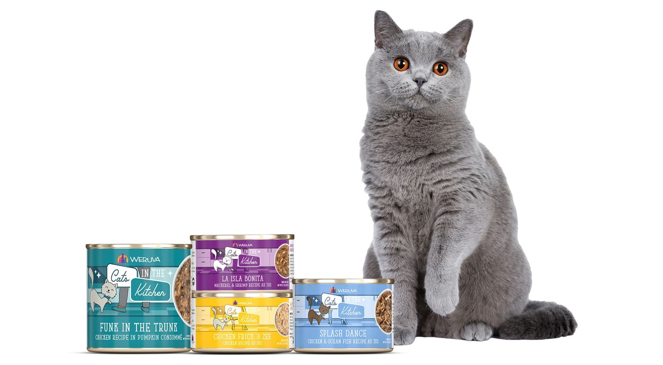 WERUVA Cats in the Kitchen Lamb Burgini Lamb Au Jus Grain-Free Wet Cat ...