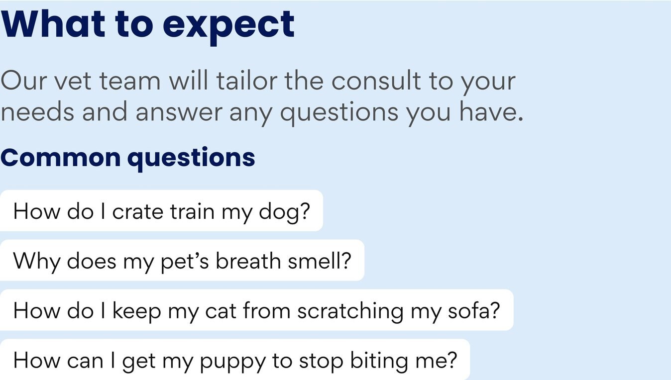 Connect With a Vet - Free New Pet Consult | Chewy