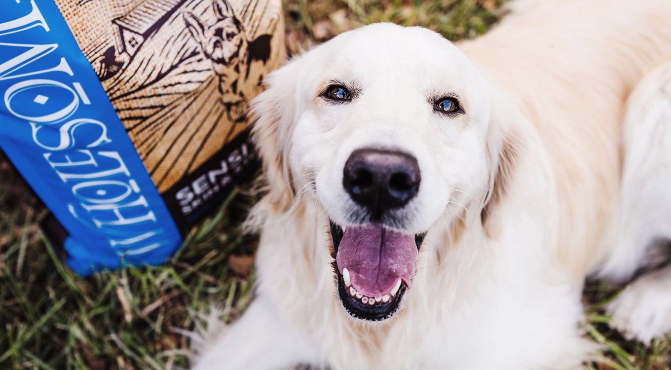 WHOLESOMES Sensitive Skin & Stomach with Salmon Protein Dry Dog Food ...