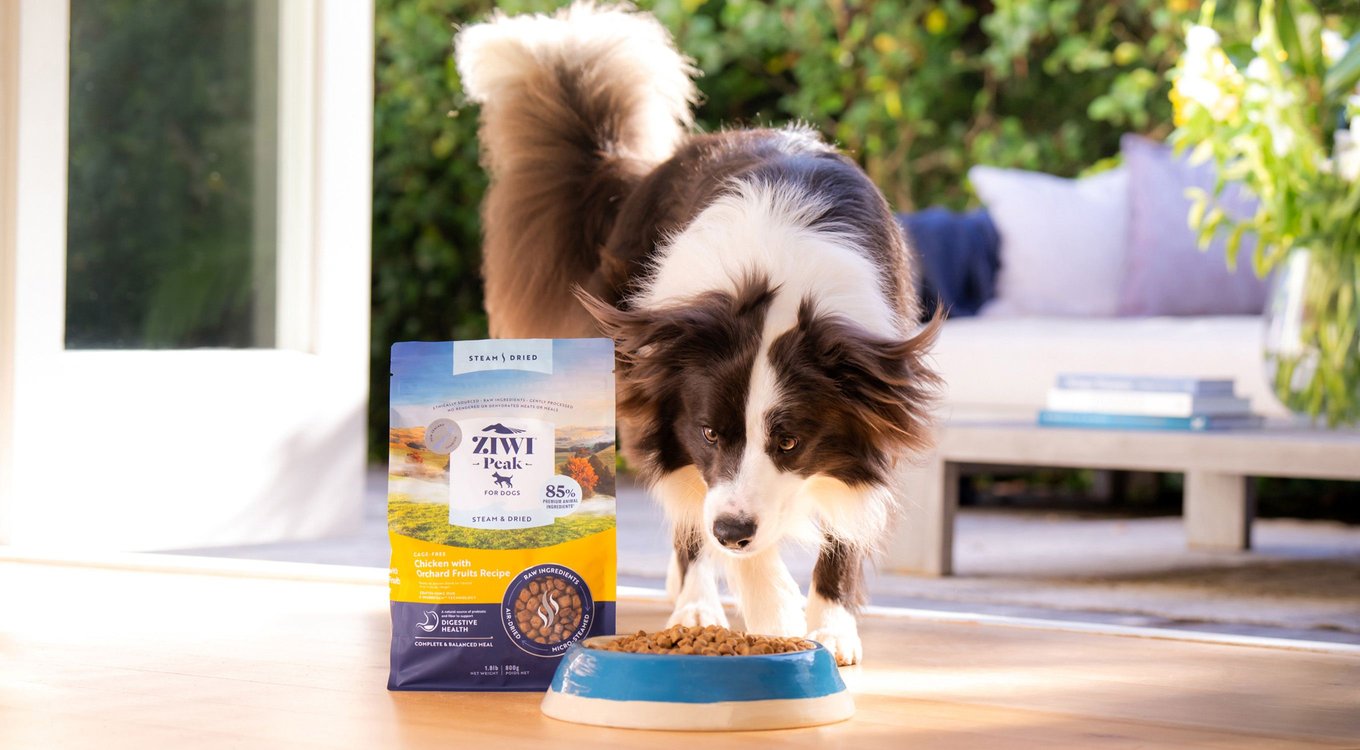 ZIWI Peak Beef with Pumpkin Recipe Steam & Dried Dog Food, 113.6-oz bag ...