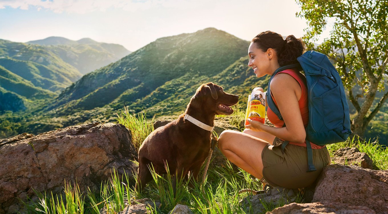 ZUKE'S Mini Naturals Holiday Trees Turkey & Cranberry Recipe Dog Treats ...