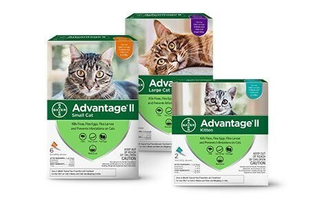 ADVANTAGE II Flea Spot Treatment for Cats, 2-5 lbs, 2 Doses (2-mos ...
