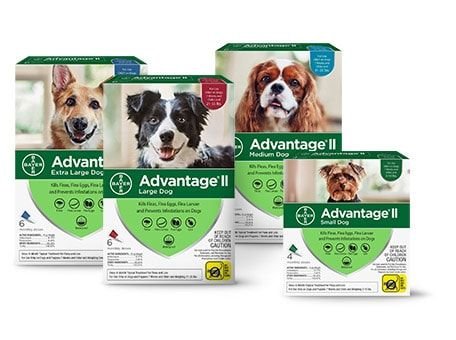 ADVANTAGE II Flea Treatment for Dogs, 21-55 lbs, 4 Doses (4-mos. supply ...