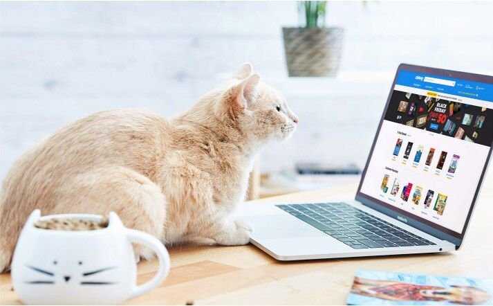 Chewy.com (USA) | Chewy USA