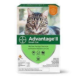 ADVANTAGE II Flea Spot Treatment for Cats, 2-5 lbs, 2 Doses (2-mos ...