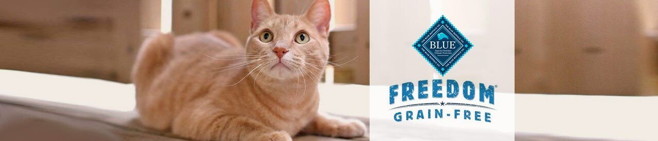 BLUE BUFFALO Freedom Indoor Adult Chicken Recipe Grain-Free Canned Cat Food, 5.5-oz, case of 24 ...