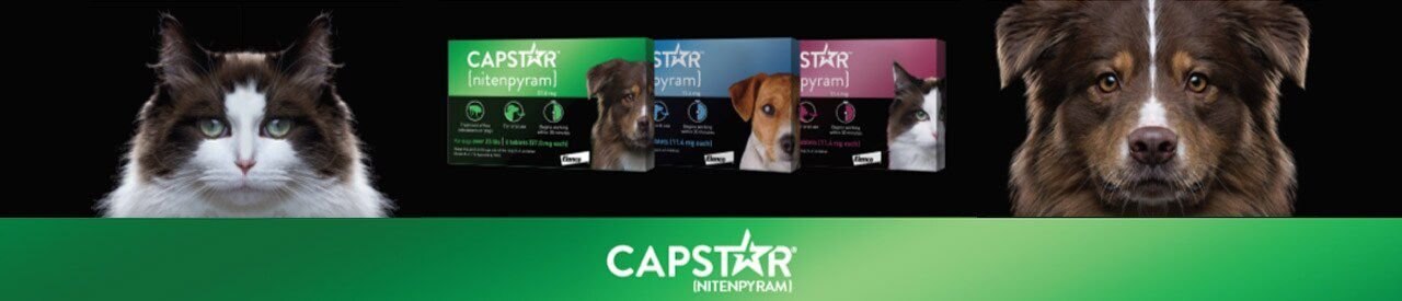 CAPSTAR Flea Oral Treatment for Cats, 2-25 lbs, 6 Tablets - Chewy.com