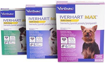 VIRBAC Knockout E.S. Area Treatment Spray, 16-fl oz can - Chewy.com