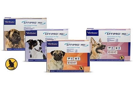 VIRBAC Knockout Area Treatment Spray, 14-fl oz can - Chewy.com