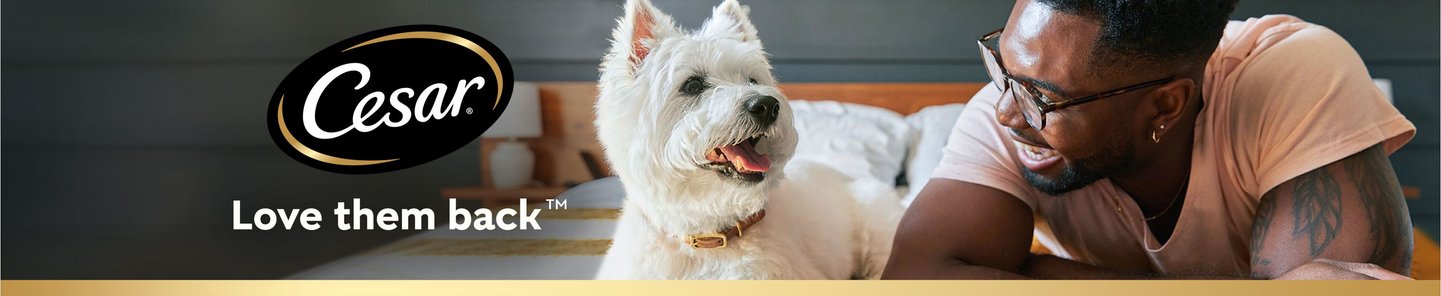 Cesar Dog Food (Free Shipping) | Chewy