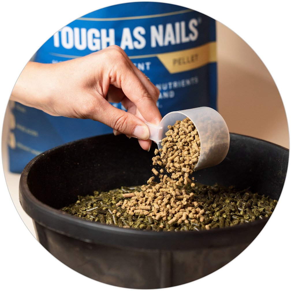 Tribute Equine Nutrition - Free shipping | Chewy