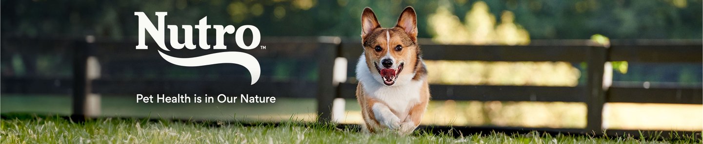 Nutro: Dog & Cat Food (Free Shipping) | Chewy