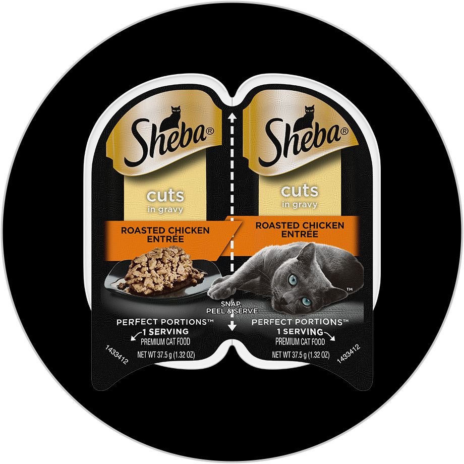 Sheba Cat Food & Treats - Free Shipping | Chewy