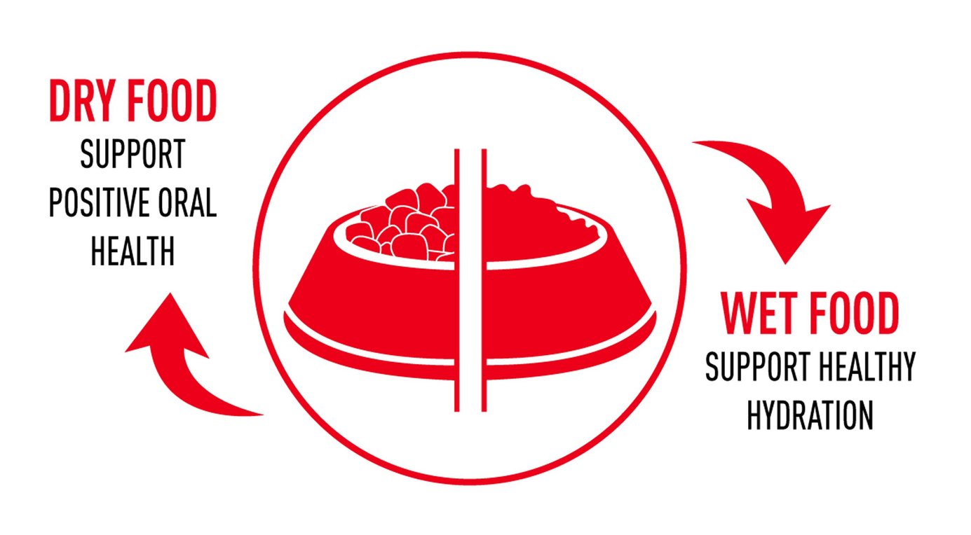 Royal Canin Veterinary Diet Glycobalance Canned Dog Food | Chewy (Free ...