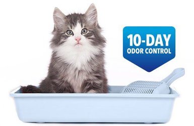 FRESH STEP Simply Unscented Clumping Clay Cat Litter, 25-lb box - Chewy.com