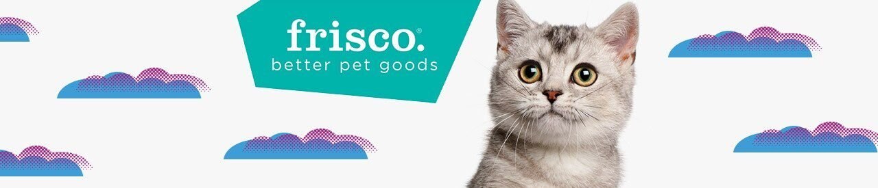 FRISCO Zoomies & Chill Popcorn Teaser Wand Cat Toy with Catnip - Chewy.com