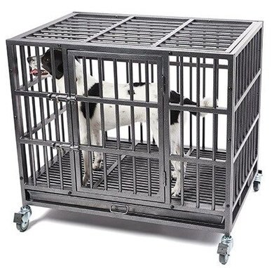 FRISCO Ultimate Heavy Duty Steel Metal Single Door Dog Crate, Medium ...