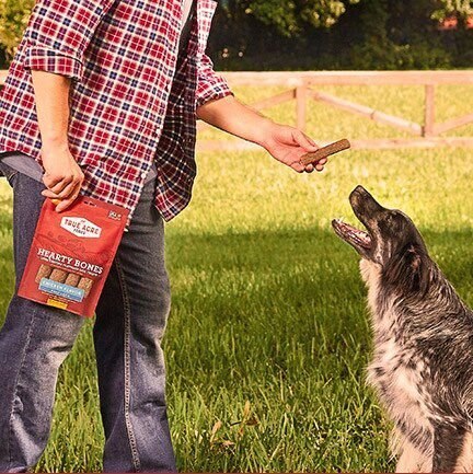 TRUE ACRE FOODS Hearty Bones Beef Flavored Treats, 16-oz bag - Chewy.com