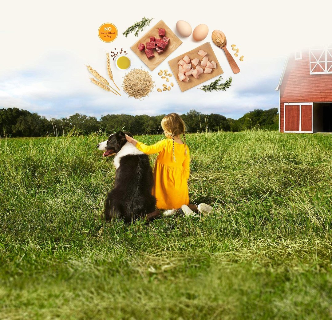 TRUE ACRE FOODS Hearty Bones Chicken Flavored Treats, 16-oz bag - Chewy.com