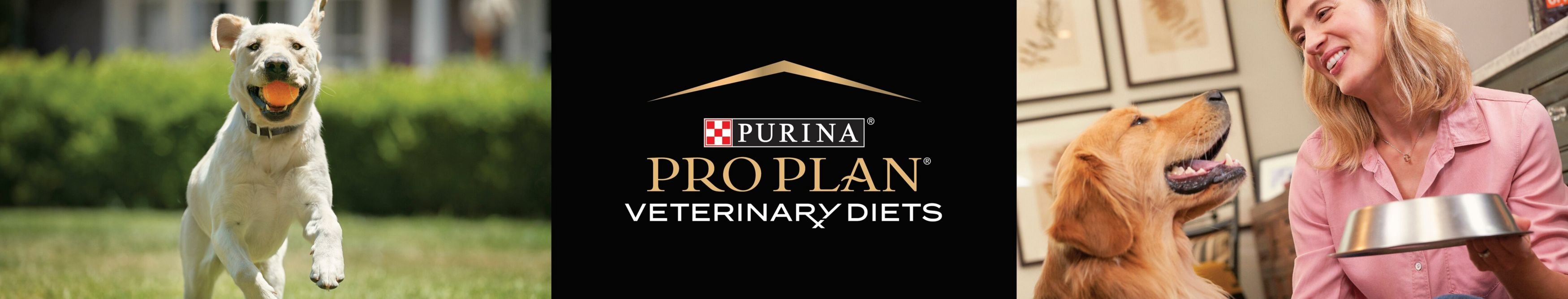 Purina Pro Plan Veterinary Diets UR Urinary Ox/St Dry Dog Food | Chewy ...