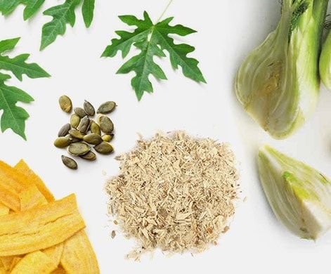 The Honest Kitchen Perfect Form Herbal Digestive Dog & Cat Supplement ...