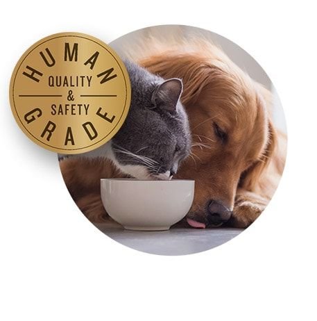 The Honest Kitchen Perfect Form Herbal Digestive Dog & Cat Supplement ...