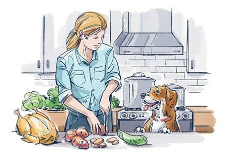 The Honest Kitchen Perfect Form Herbal Digestive Dog & Cat Supplement ...