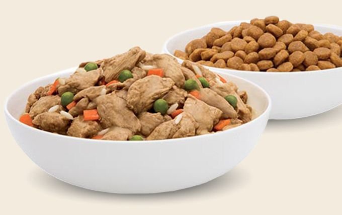 HILL'S PRESCRIPTION DIET m/d GlucoSupport Chicken Flavor Dry Cat Food ...