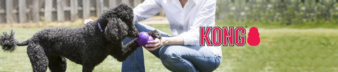 KONG Senior Dog Toy, Large - Chewy.com