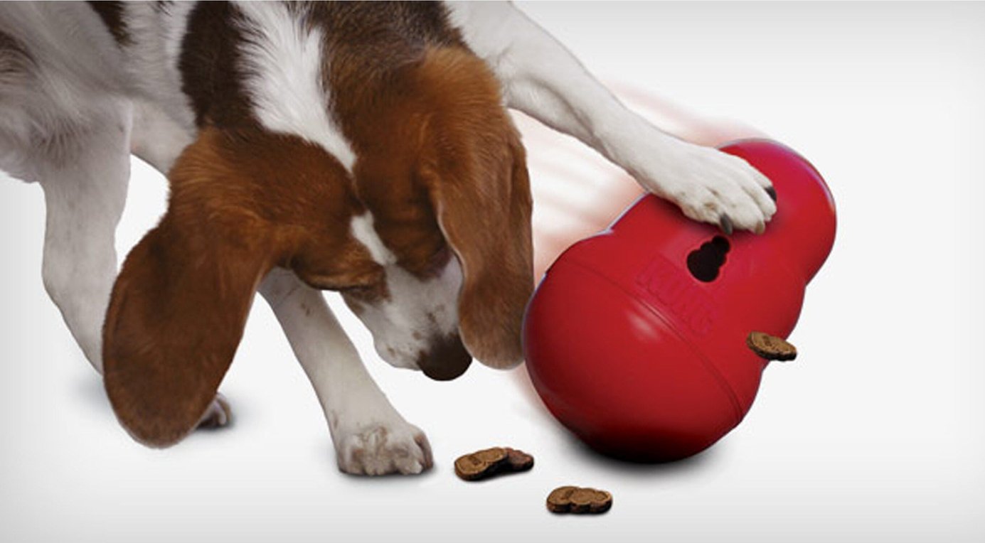 KONG Wobbler Dog Toy, Large - Chewy.com