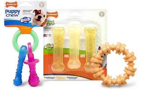 NYLABONE Puppy Chew Ring Chicken Flavored Puppy Chew Toy, X-Small ...