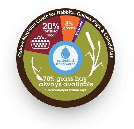 OXBOW Organic Bounty Adult Rabbit Food, 3-lb bag - Chewy.com