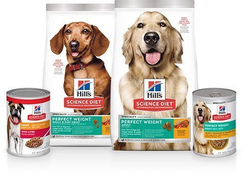 HILL'S SCIENCE DIET Adult Perfect Weight Management Hearty Vegetable ...