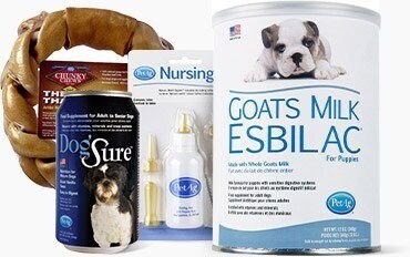 PETAG Fresh 'N Clean Scented Dog Shampoo, Classic Fresh Scent, 18-fl oz ...