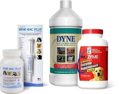 PETAG Fresh 'N Clean Scented Dog Shampoo, Classic Fresh Scent, 18-fl oz ...