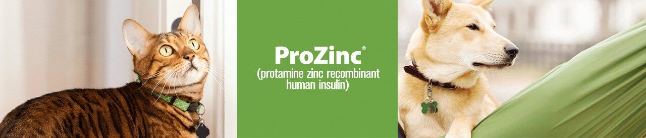 PROZINC (protamine zinc recombinant human insulin) U-40 Injectable for ...