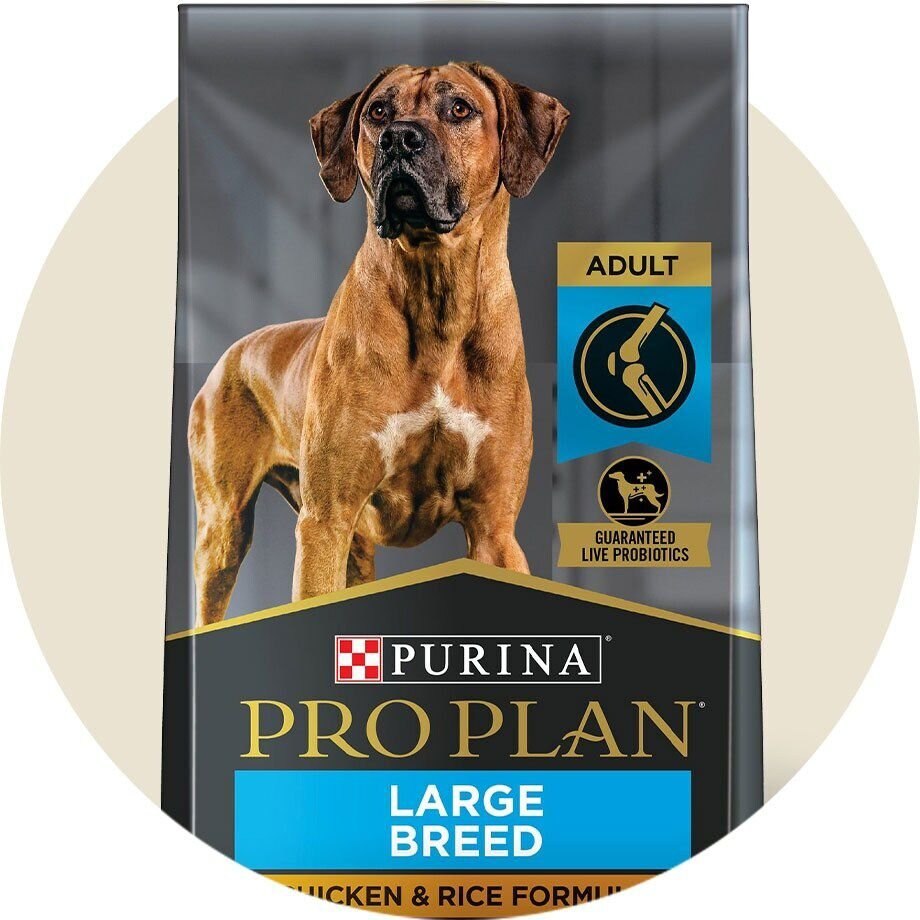 Purina Pro Plan: Low Prices, Free Shipping | Chewy