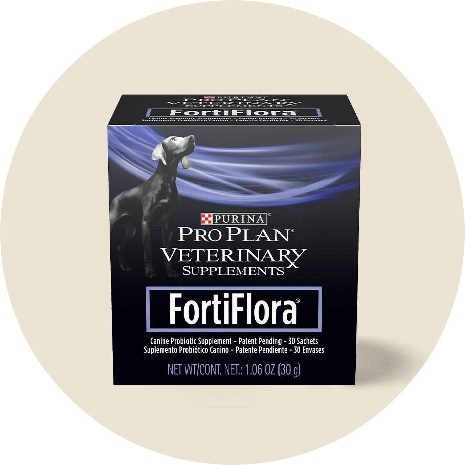 Purina Pro Plan: Low Prices, Free Shipping | Chewy