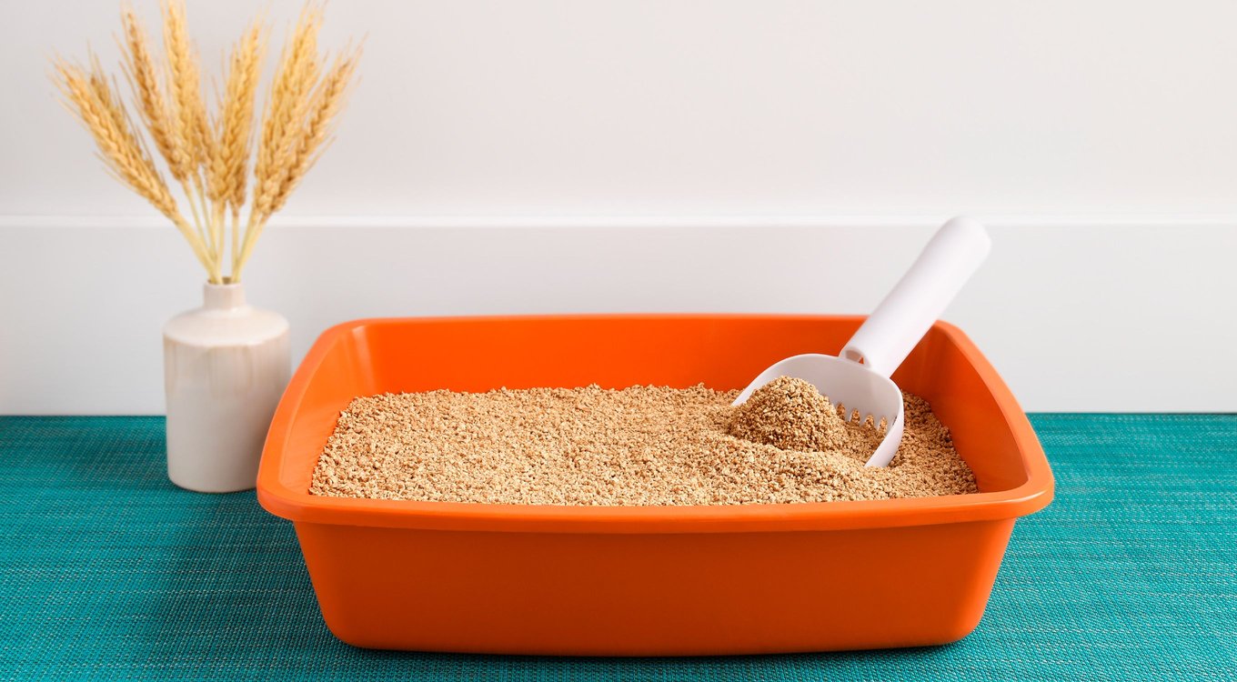 New Version Available - SWHEAT SCOOP Multi-Cat Natural Clumping Wheat ...