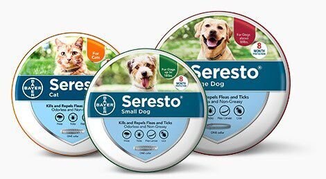 SERESTO Flea & Tick Collar for Dogs, over 18-lbs, 1 Collar (8-mos ...